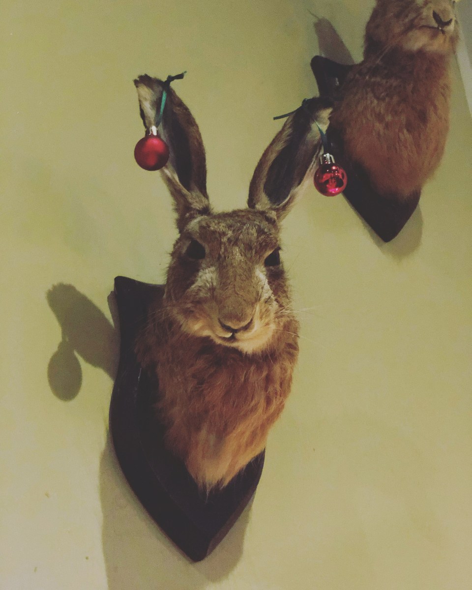 The Jugged Hare, London – Queen of Everything